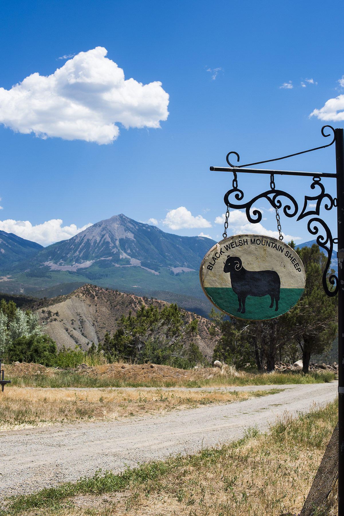 The Farm Series: Desert Weyr | Finding Quiet Farm