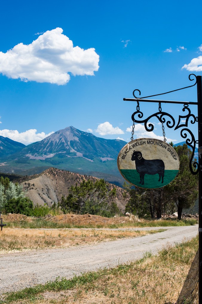 The Farm Series: Desert Weyr | Finding Quiet Farm