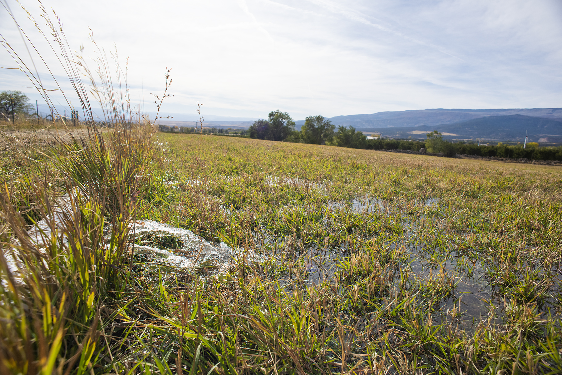 Farm update: October 26 | Finding Quiet Farm