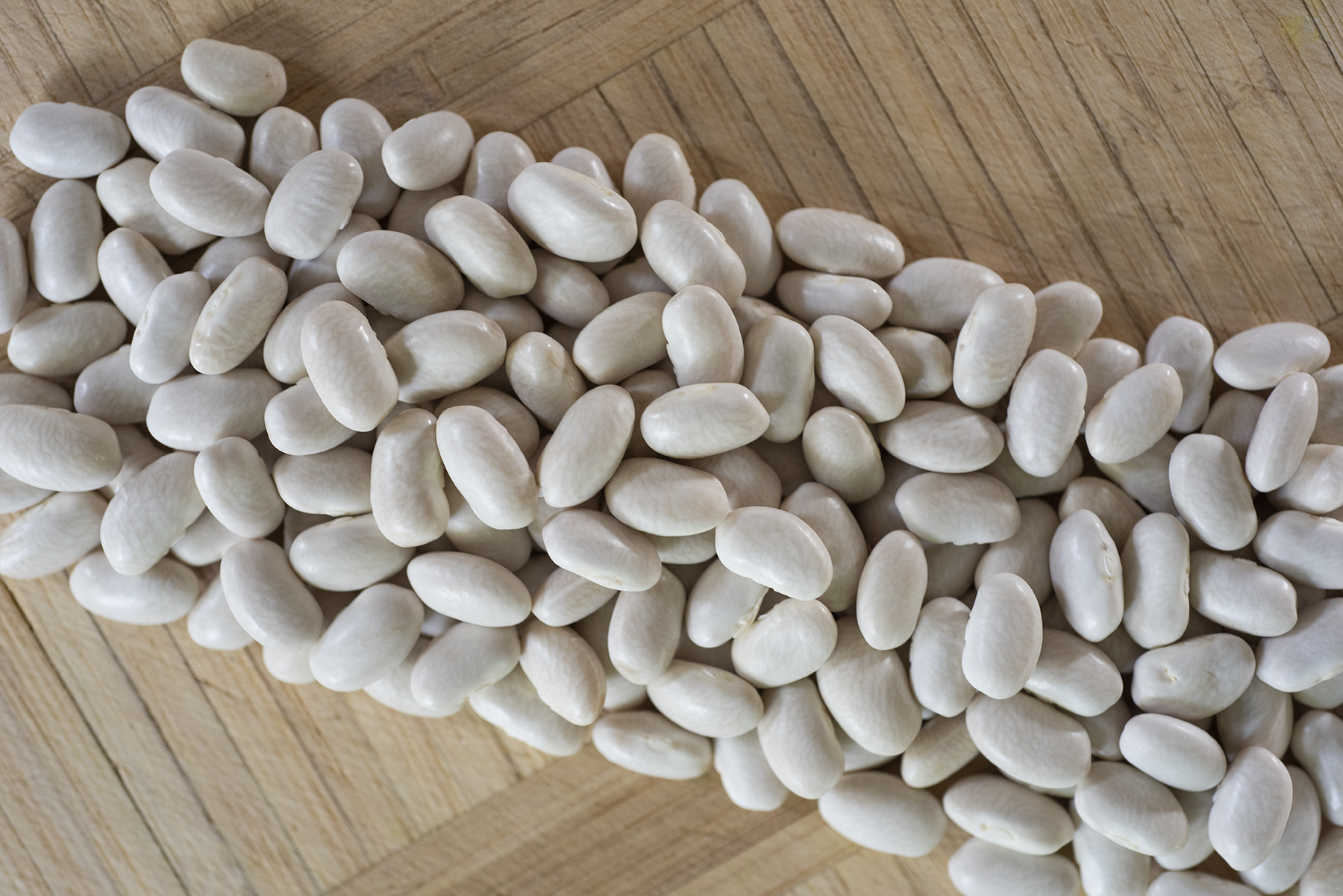 The bean harvest | Finding Quiet Farm