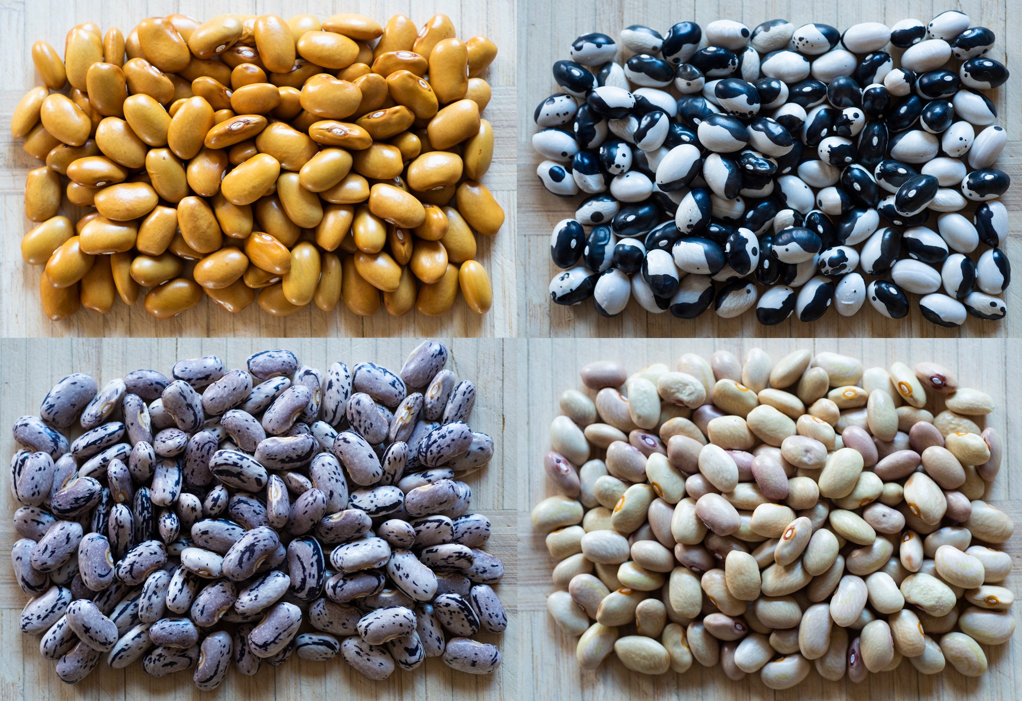 Finding Quiet Farm | Living Lightly Upon the Land