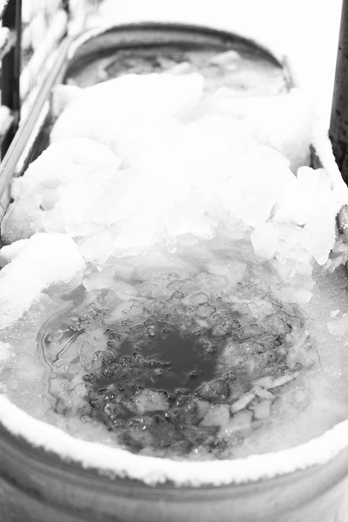 The cold plunge | Finding Quiet Farm