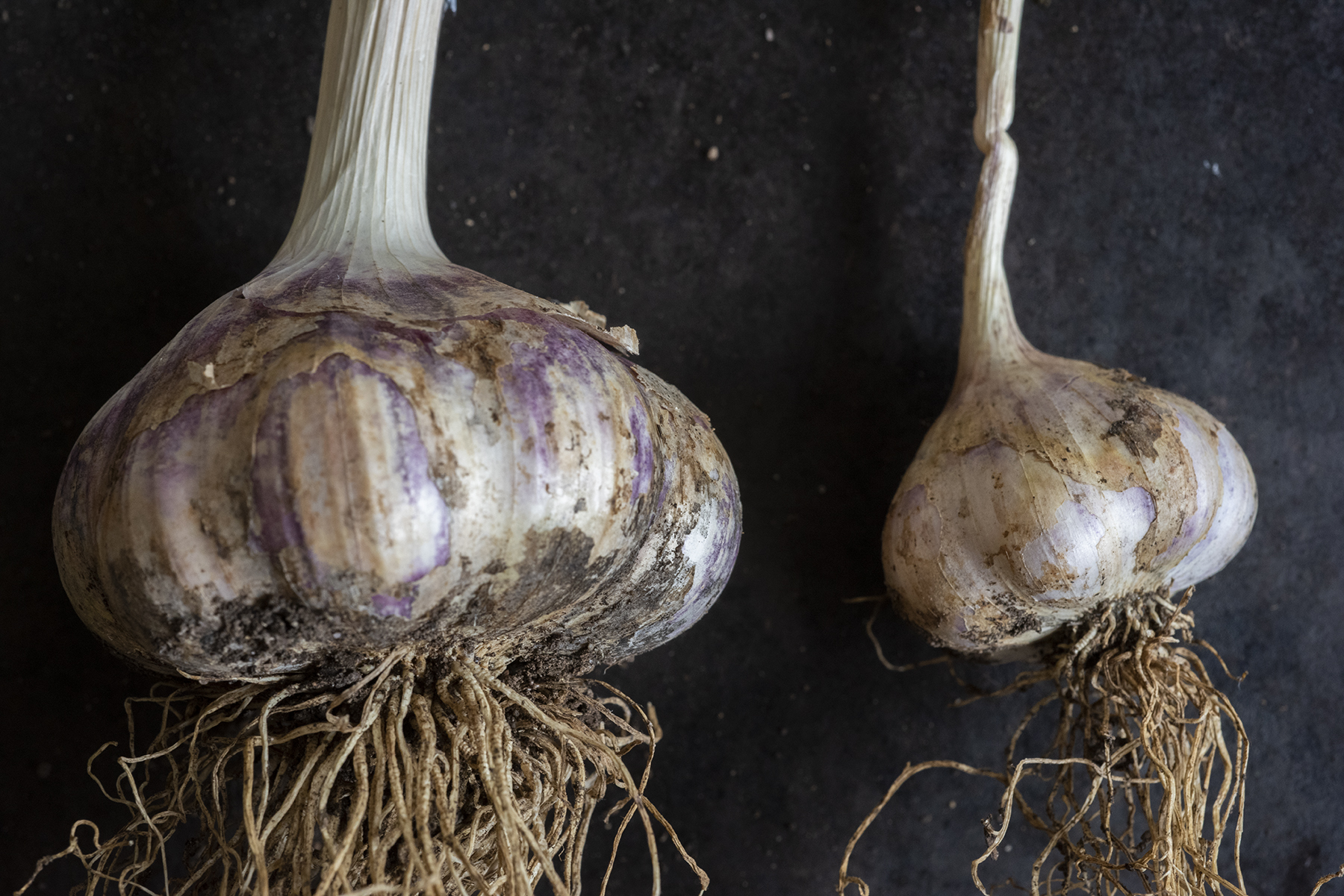 Finding Quiet Farm | Living Lightly Upon the Land