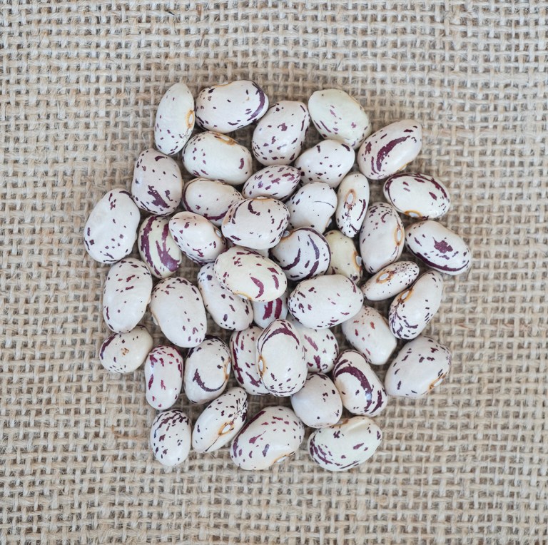 Finding Quiet Farm | Living Lightly Upon the Land